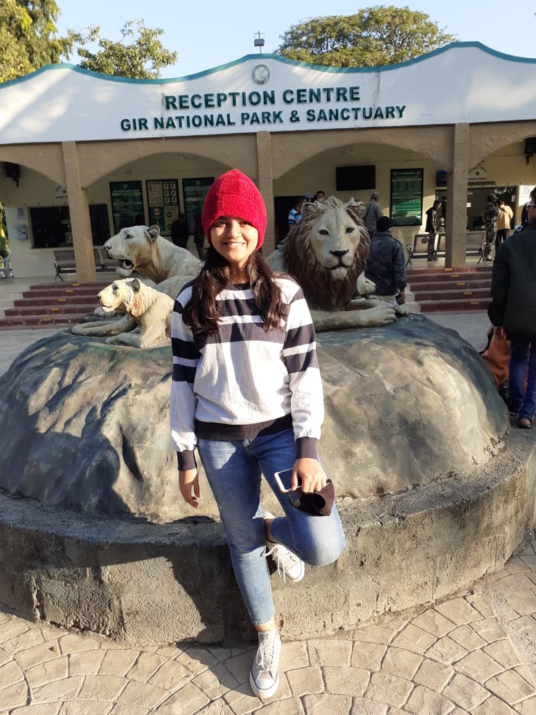 How to Visit Gir National Park - Complete Guide – Madman's Journey