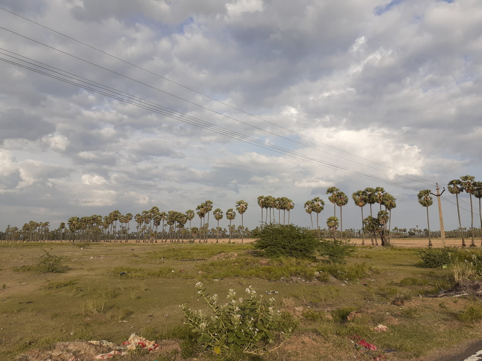 5 Best Places to Visit in Chirala: Striking Hues by the Beach