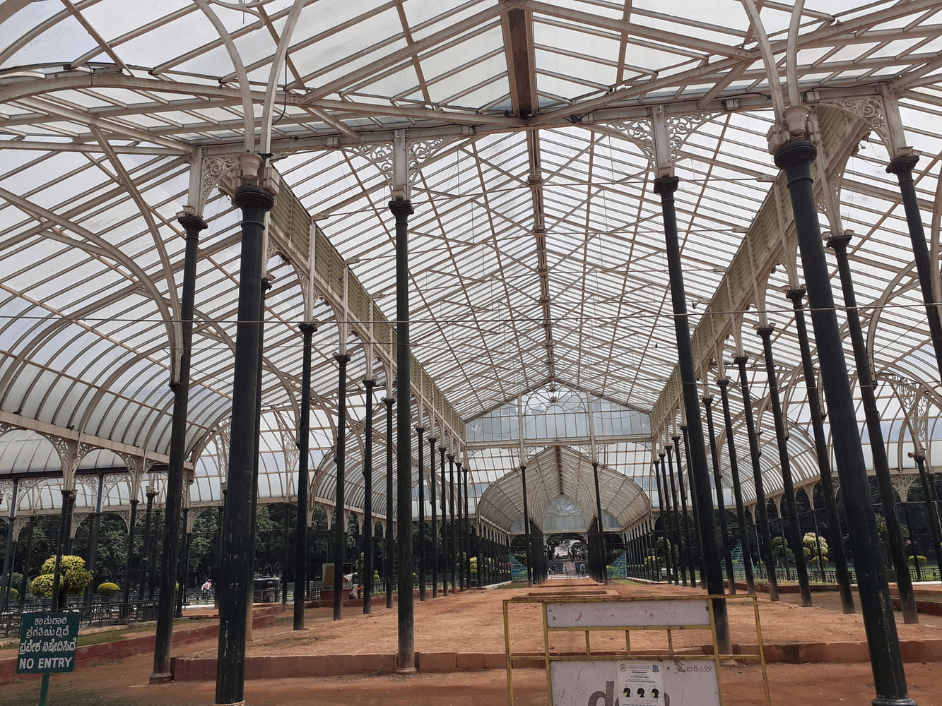 Lalbagh Botanical Garden Blog: Stunning Greens of the City 2022