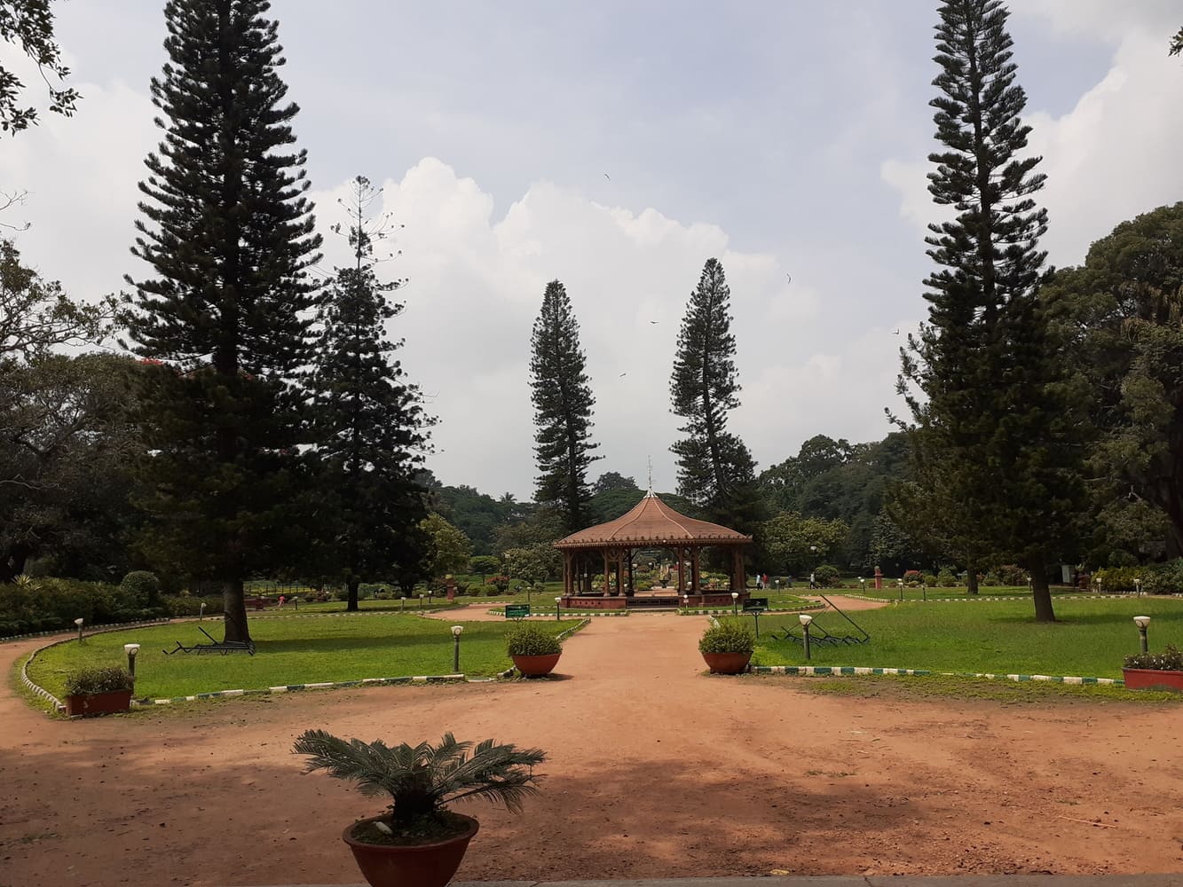 Lalbagh Botanical Garden Blog: Stunning Greens of the City 2022