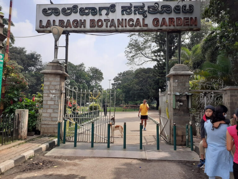 Lalbagh Botanical Garden Blog: Stunning Greens of the City 2022