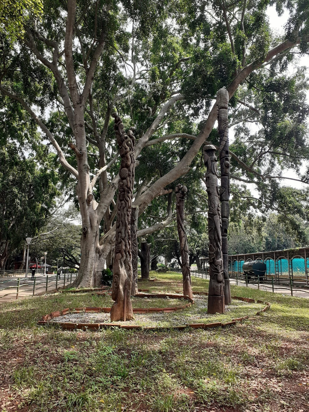 Lalbagh Botanical Garden Blog: Stunning Greens of the City 2022