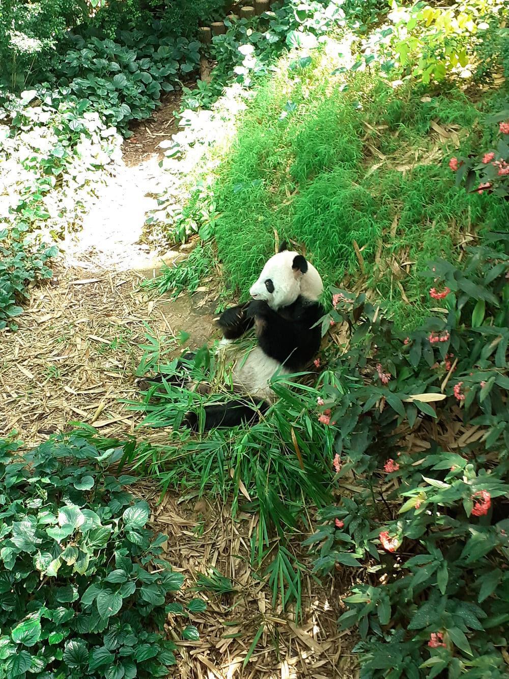 River Wonders Singapore Review: 5 Rare Creatures to Spot!