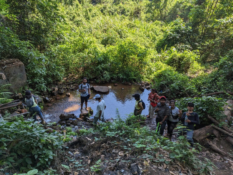 Best Things to Do in Dandeli 2023: Adventures in the Woods